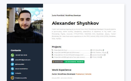 CV Alexander Shyshkov - Front-End / WordPress Developer
